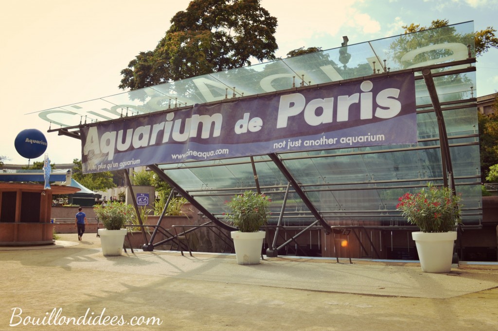 Sortie en famille à l'aquarium de Paris