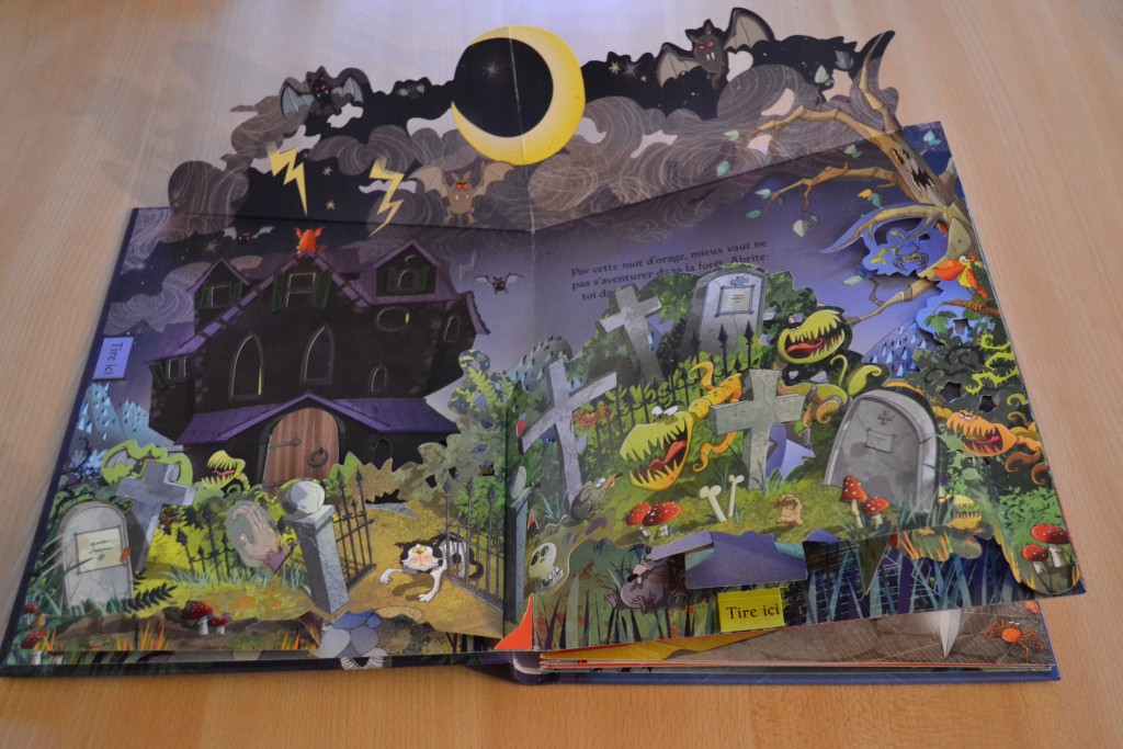 Nos idées de lecture : Spécial Halloween (Le manoir Hanté)